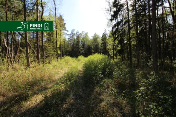 Müüa maatükk, elamumaa - Juksi tee 8, Spithami/Spithamn, Lääne-Nigula ...