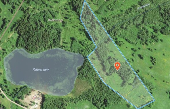 Müüa maatükk, metsamaa - Kaurutootsi, Otepää vald, Valgamaa ...