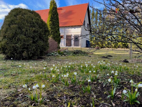 Müüa maja, 2 magamistuba - Rehetare, Laeva, Tartu vald, Tartumaa - Kinnisvaraportaal KV.EE