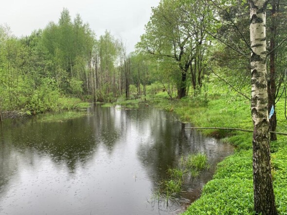 Müüa talu - Haljasoro, Koorla, Setomaa vald, Võrumaa ...