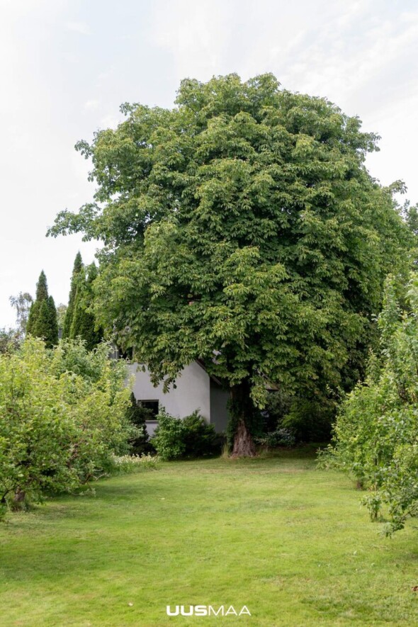 Müüa maatükk, elamumaa - Talu tee 18, Haabneeme, Viimsi vald, Harjumaa ...