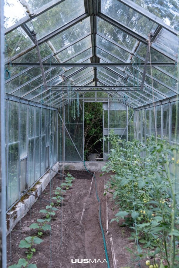 Müüa maatükk, elamumaa - Talu tee 18, Haabneeme, Viimsi vald, Harjumaa ...