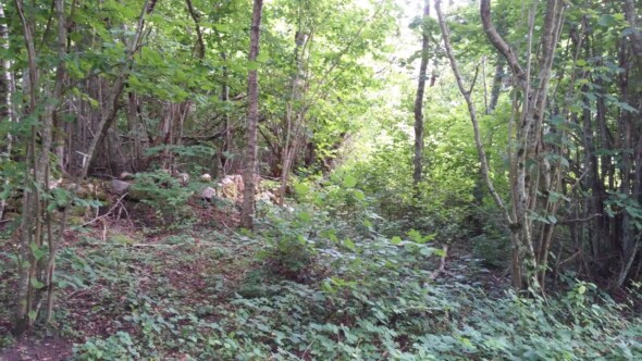 Müüa maatükk, maatulundusmaa - Sarapiku, Laadjala, Saaremaa vald ...