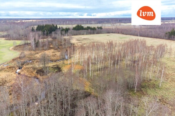 Müüa maatükk, maatulundusmaa - Ojakalda, Malda, Pärnu, Pärnumaa ...