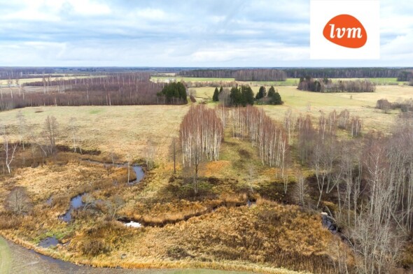 Müüa maatükk, maatulundusmaa - Ojakalda, Malda, Pärnu, Pärnumaa ...
