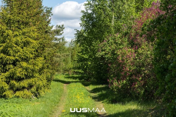 Müüa maja, 2 magamistuba - Konna, Annikoru, Elva vald, Tartumaa ...