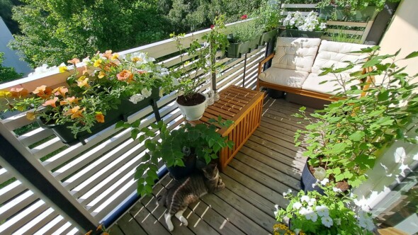 Anda üürile korter, 2 tuba - Pune tee 4/1, Pirita-Kose, Pirita, Tallinn ...