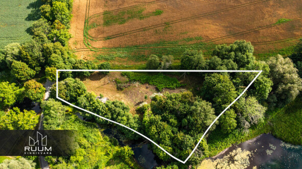 Müüa maatükk, elamumaa - Kiviloo, Raasiku vald, Harjumaa ...