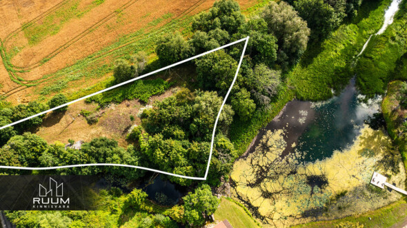 Müüa maatükk, elamumaa - Kiviloo, Raasiku vald, Harjumaa ...