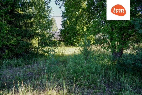 Müüa maja - Nipeti, Ristiküla, Saarde vald, Pärnumaa ...