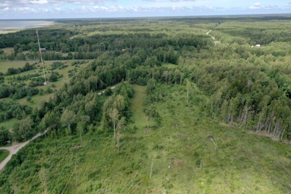 Müüa maatükk, maatulundusmaa - Peedu, Õngu, Hiiumaa vald, Hiiumaa ...