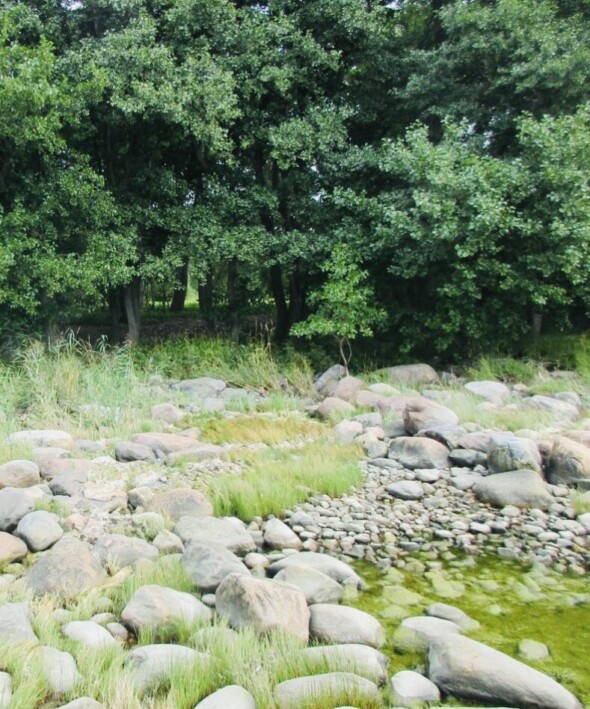 Müüa maatükk, elamumaa - 50km Tallinnast, Tõnikseri, Mere ääres, Leesi ...