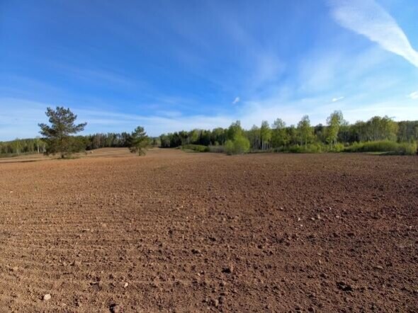 Müüa maatükk, maatulundusmaa, metsamaa - Kuigatsi, Luke, Nõo vald ...