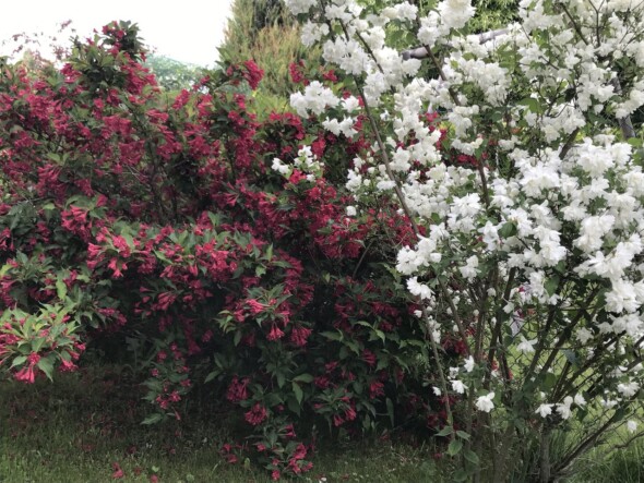 Müüa maja, 3 magamistuba - Pallase pst 61, Uus-Ihaste, Ihaste, Tartu ...