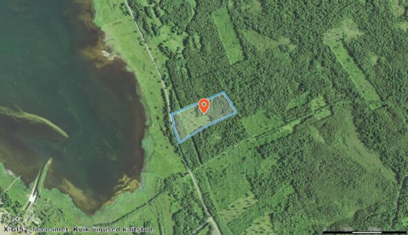 Müüa maatükk, metsamaa - Riguldi/Rickul, Lääne-Nigula vald, Läänemaa ...