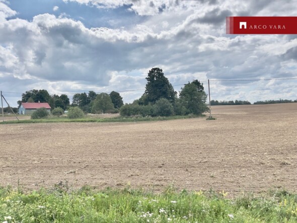 Müüa maatükk, maatulundusmaa - Kasepuu, Karitsa, Rakvere vald, Lääne ...