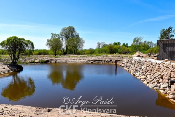Müüa maja, 3 magamistuba - Haldja tee 1, Veibri, Luunja vald, Tartumaa ...