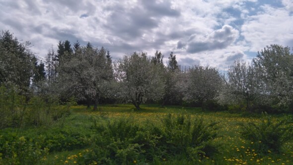 Müüa talu - Jalametsa, Järva vald, Järvamaa - Kinnisvaraportaal KV.EE
