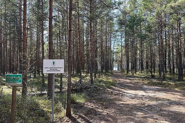 Müüa maatükk, elamumaa - Dirhami, Dirhami/Derhamn, Lääne-Nigula vald ...