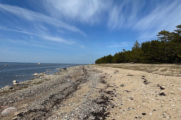 Müüa maatükk, elamumaa - Dirhami, Dirhami/Derhamn, Lääne-Nigula vald ...