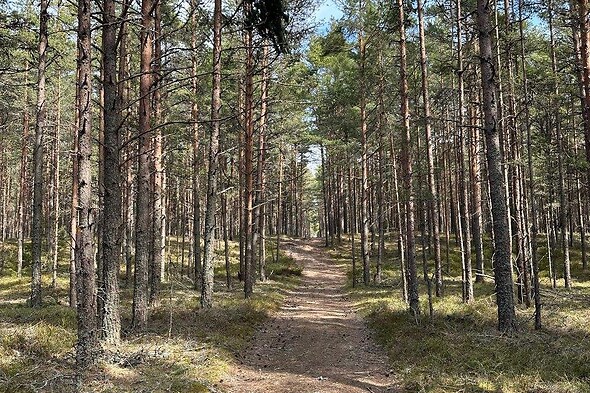 Müüa maatükk, elamumaa - Dirhami, Dirhami/Derhamn, Lääne-Nigula vald ...