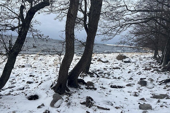 Müüa maatükk, elamumaa - 50km Tallinnast, Tõnikseri, Mere ääres, Leesi ...