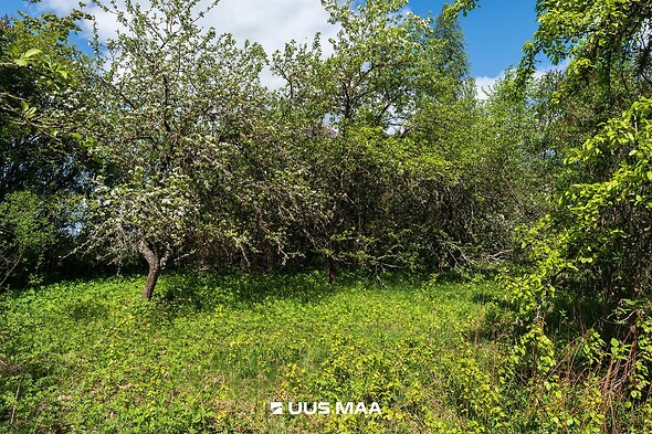 Müüa maja, 2 magamistuba - Konna, Annikoru, Elva vald, Tartumaa ...