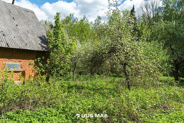 Müüa maja, 2 magamistuba - Konna, Annikoru, Elva vald, Tartumaa ...