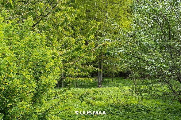 Müüa maja, 2 magamistuba - Konna, Annikoru, Elva vald, Tartumaa ...