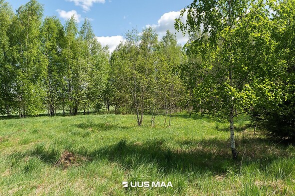 Müüa maja, 2 magamistuba - Konna, Annikoru, Elva vald, Tartumaa ...