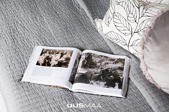 Müüa maja, 2 magamistuba - Talu tee 18, Haabneeme, Viimsi vald ...