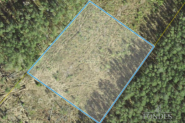 Müüa maatükk, elamumaa, metsamaa - Vaarika, Rutja, Rutja, Haljala vald ...