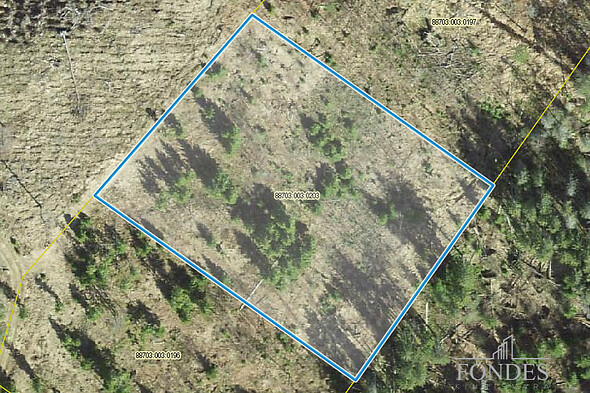 Müüa maatükk, elamumaa, metsamaa - Vaarika, Rutja, Rutja, Haljala vald ...