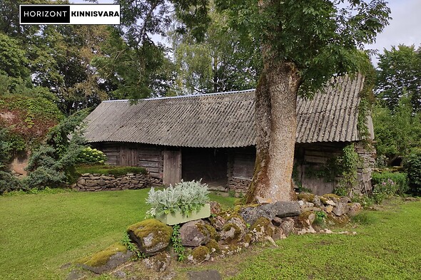 Müüa talu, 2 magamistuba - Püha, Saaremaa vald, Saaremaa ...