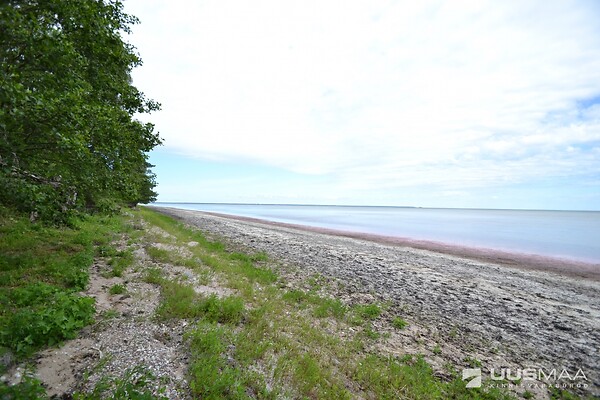 Müüa maatükk, maatulundusmaa - Kalju ja Pärna kinnistud, Pammana ...