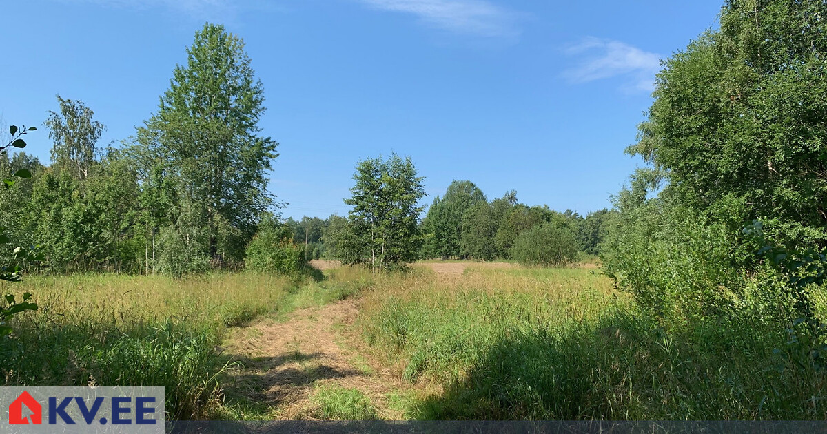 Müüa maatükk, maatulundusmaa - Pällo, Turbuneeme, Kuusalu vald ...