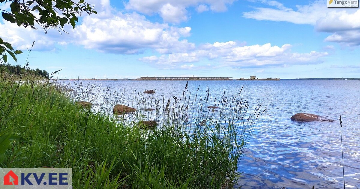 Müüa maatükk, maatulundusmaa - Ilmari, Hara, Kuusalu vald, Harjumaa ...