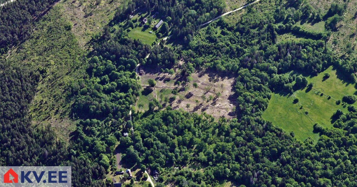 Müüa maatükk, maatulundusmaa, metsamaa - Põlde, Pammana, Saaremaa vald ...